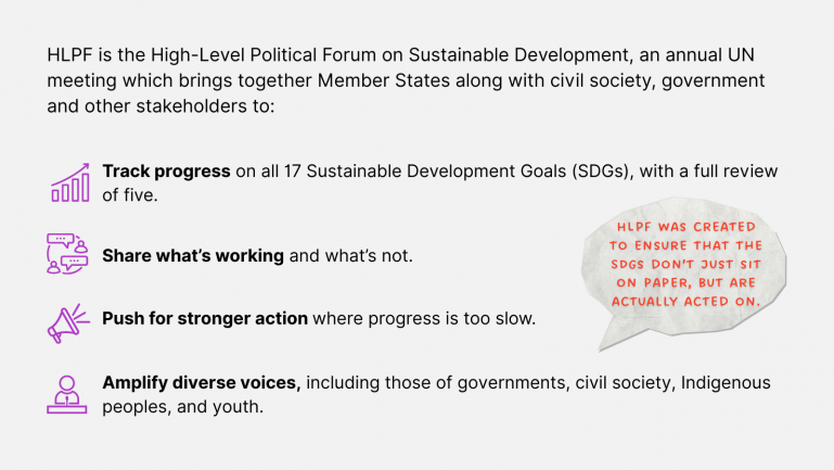 HLPF 2025: 5 Years to 2030